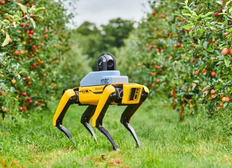 Spot the robot dog helps on the Farm | Robotics for Healthcare ...
